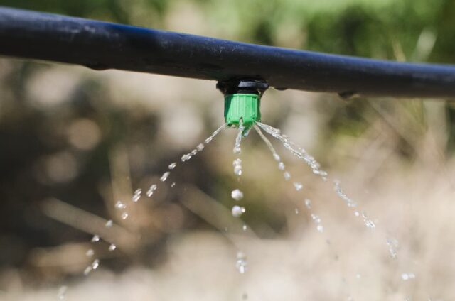 4 of the Best Drip Irrigation Systems - Minneopa Orchards