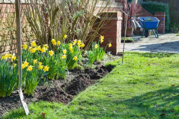 The 4 Best Edging Shovels: Elevate Your Landscaping Game - Minneopa ...