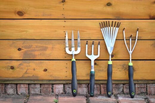 The Best Hand Tillers for Digging Up Your Small Garden - Minneopa Orchards
