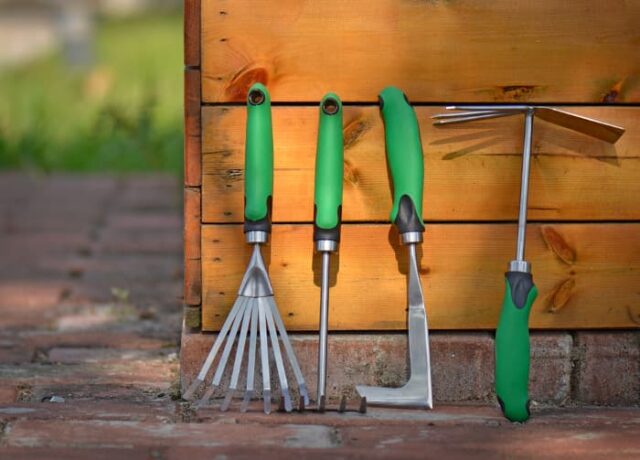 The 9 Best Hand Tillers for Digging Up Your Small Garden - Minneopa ...