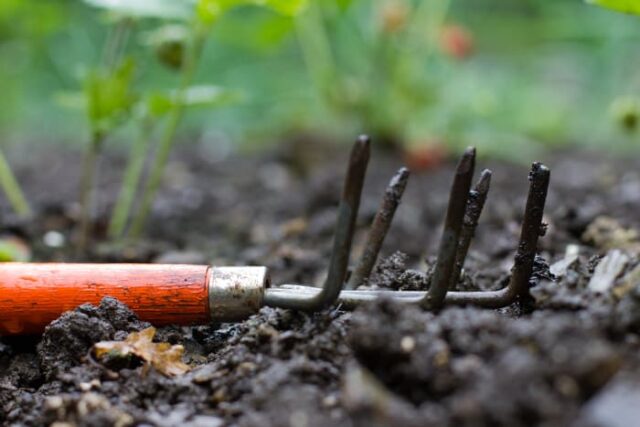 The Best Hand Tillers for Digging Up Your Small Garden - Minneopa Orchards