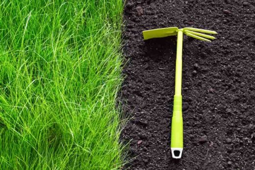 The 11 Best Hand Cultivators - Minneopa Orchards