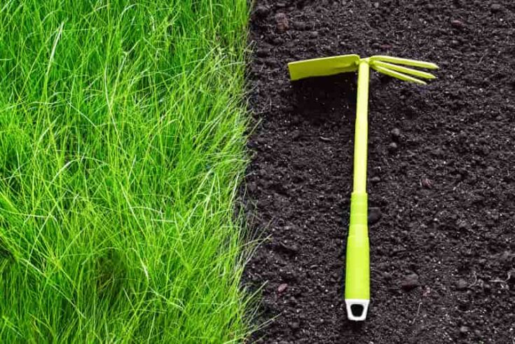 The 11 Best Hand Cultivators - Minneopa Orchards