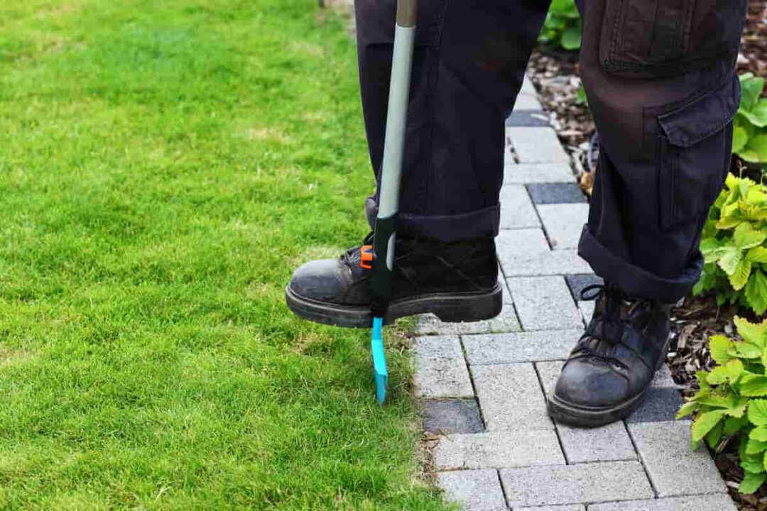 The 4 Best Edging Shovels: Elevate Your Landscaping Game - Minneopa ...