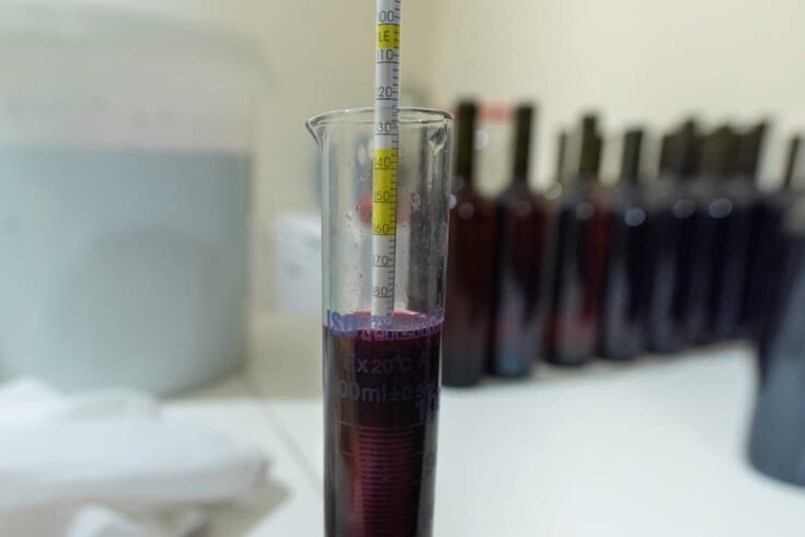 How to Make Wine From Grapes - Minneopa Orchards