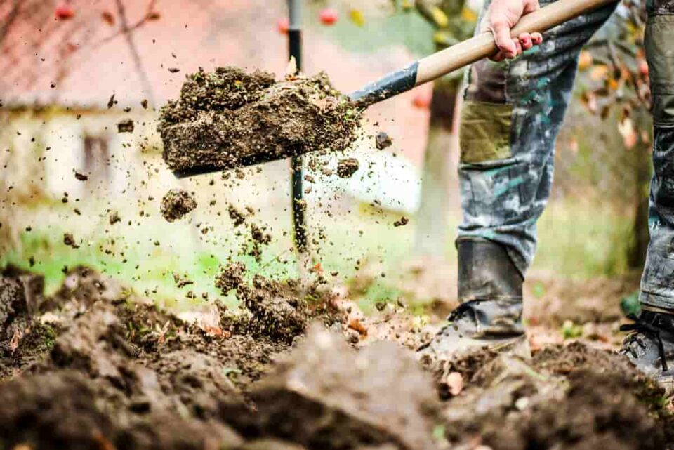 The Complete Guide to Garden Digging Tools - Minneopa Orchards