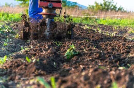 The 6 Best Garden Tillers For Digging Up That Garden - Minneopa Orchards