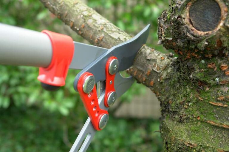 The 9 Best Electric Pruning Shears For 2023 - Minneopa Orchards
