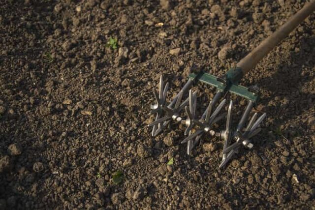 The 11 Best Garden Tillers For Digging Up That Garden - Minneopa Orchards