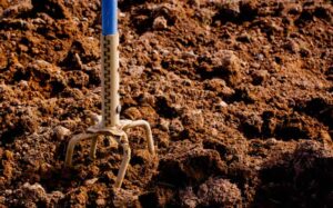 The 11 Best Hand Cultivators - Minneopa Orchards