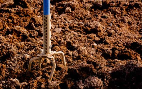 The 11 Best Hand Cultivators - Minneopa Orchards