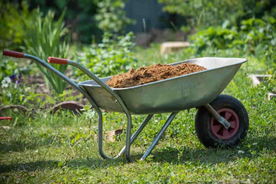 7 of the Best Wheelbarrows for Gardening in 2023 - Minneopa Orchards
