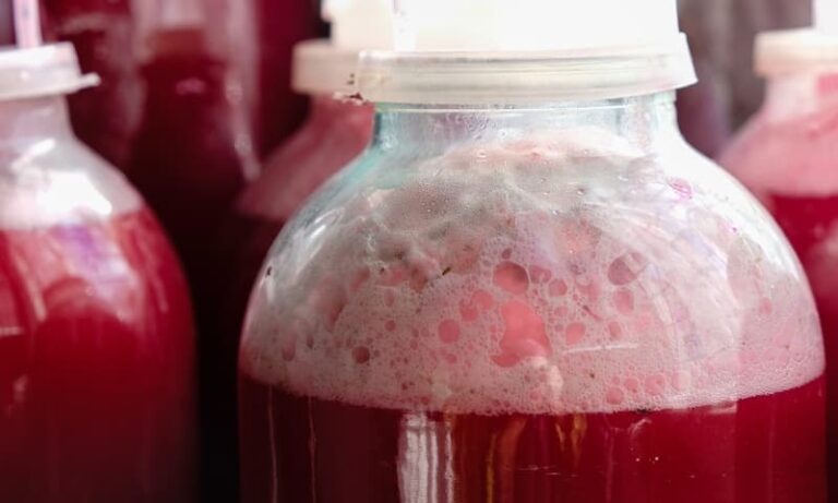 How to Make Wine From Grapes - Minneopa Orchards