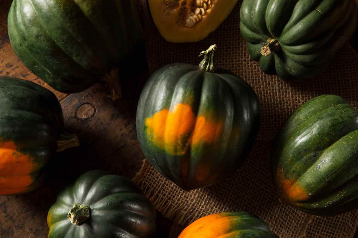 All About The Casperita Pumpkin - Minneopa Orchards
