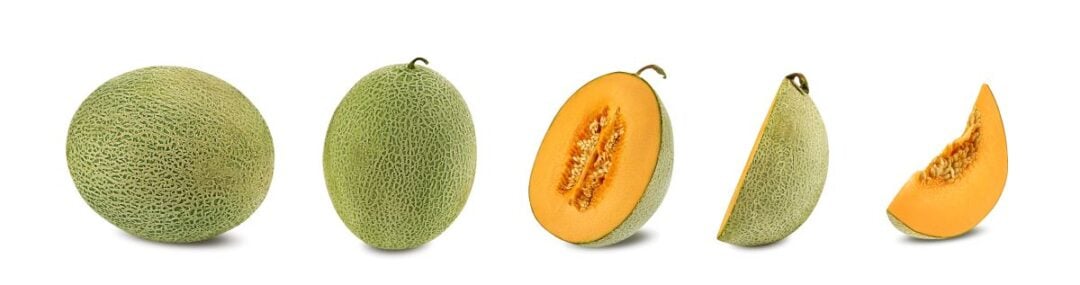 Fun Facts About Cantaloupe Nutrition - Minneopa Orchards