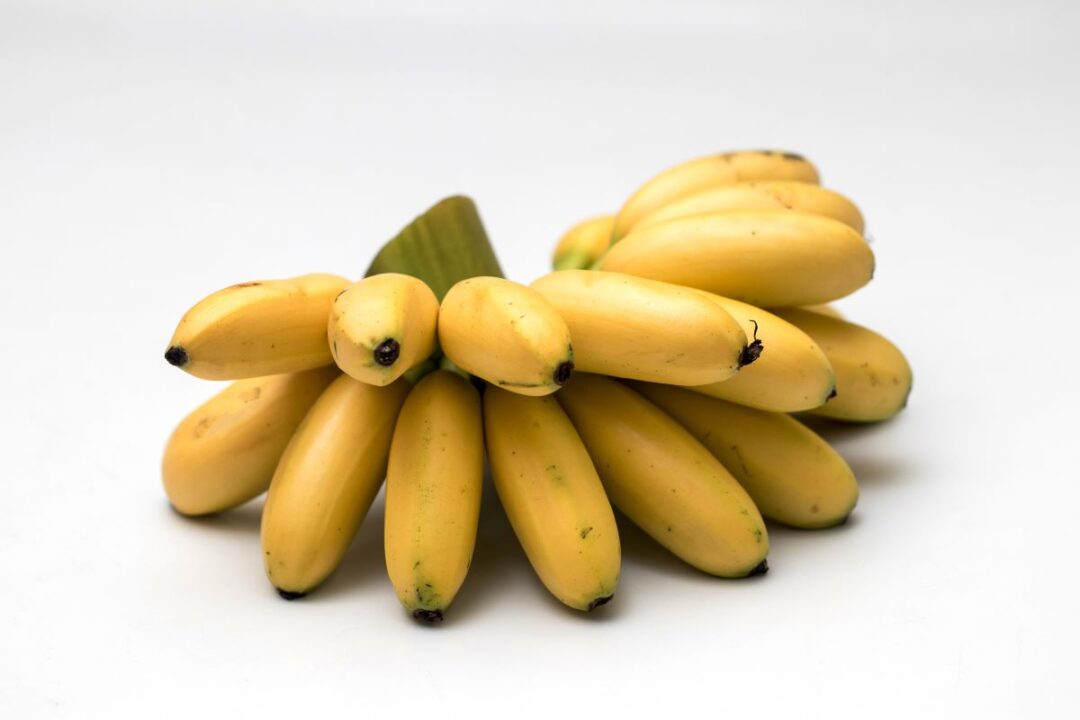Everything You Should Know About the Lady Finger Banana Tree - Minneopa ...