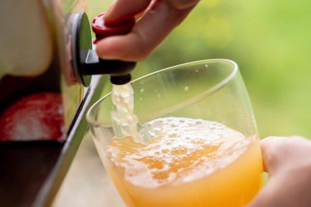 11 Incredible Apple Juice Benefits That Will Amaze You - Minneopa Orchards