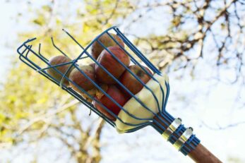 The 8 Best Apple Pickers for Harvesting Apples - Minneopa Orchards