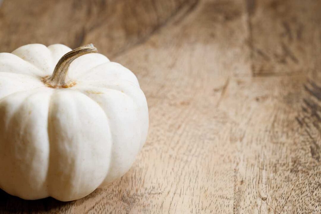 All About The Casperita Pumpkin - Minneopa Orchards