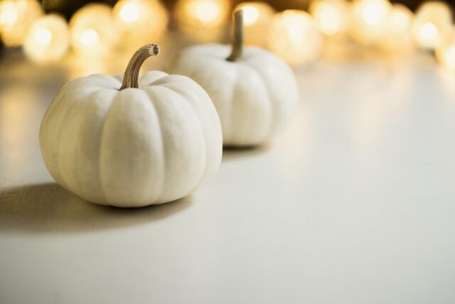 All About The Casperita Pumpkin - Minneopa Orchards