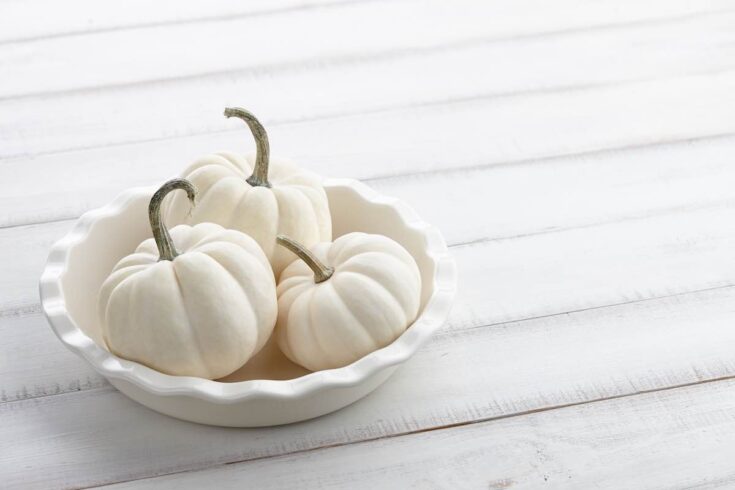 All About The Casperita Pumpkin - Minneopa Orchards