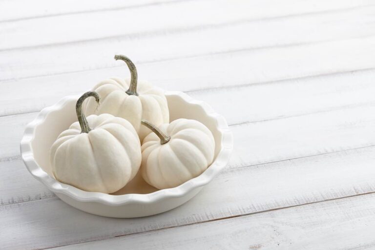 All About The Casperita Pumpkin - Minneopa Orchards