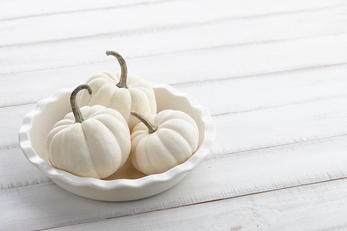 All About The Casperita Pumpkin - Minneopa Orchards