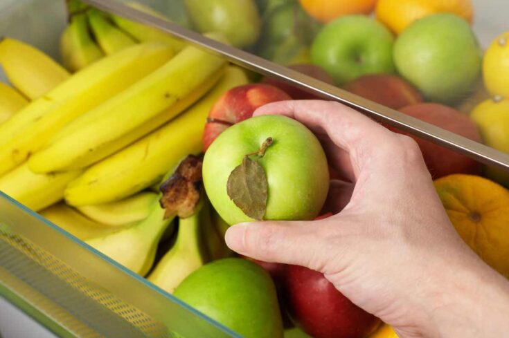 How Long Do Apples Last in the Fridge? - Minneopa Orchards