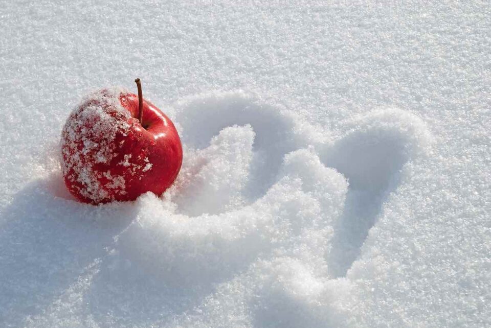 How to Freeze Apples: 5 Best Tips for Freezing Apples - Minneopa Orchards