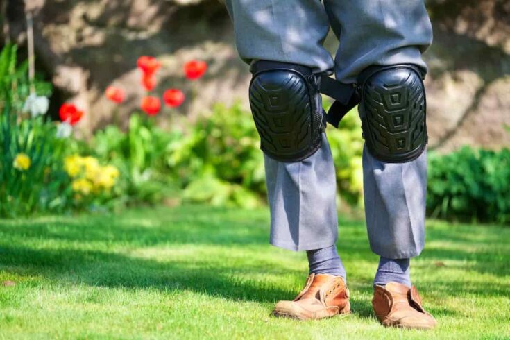 5 of the Best Gardening Knee Pads for Ultimate Comfort! - Minneopa Orchards