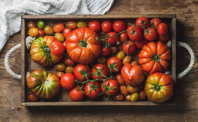 All About Heirloom Tomatoes: 5 Things You Need to Know - Minneopa Orchards