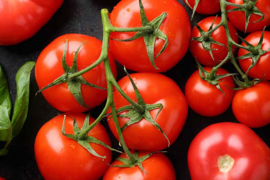 Determinate VS Indeterminate Tomatoes: What's the Difference ... Determinate VS Indeterminate Tomatoes: What's the Difference ...