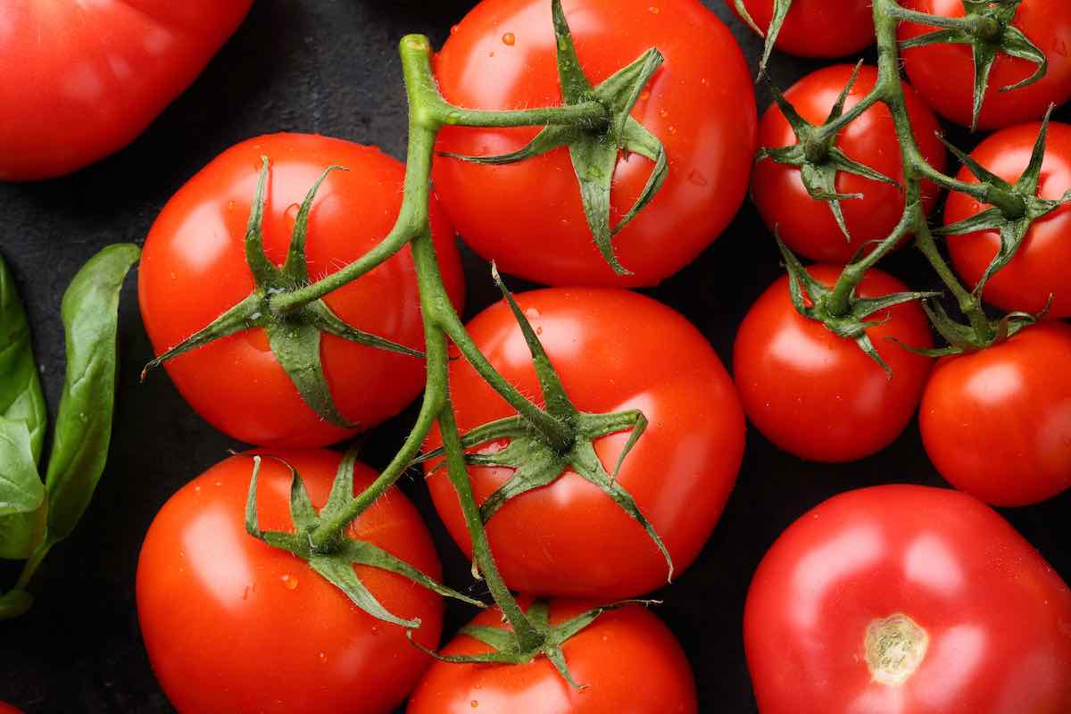 Determinate VS Indeterminate Tomatoes: What's the Difference ...
