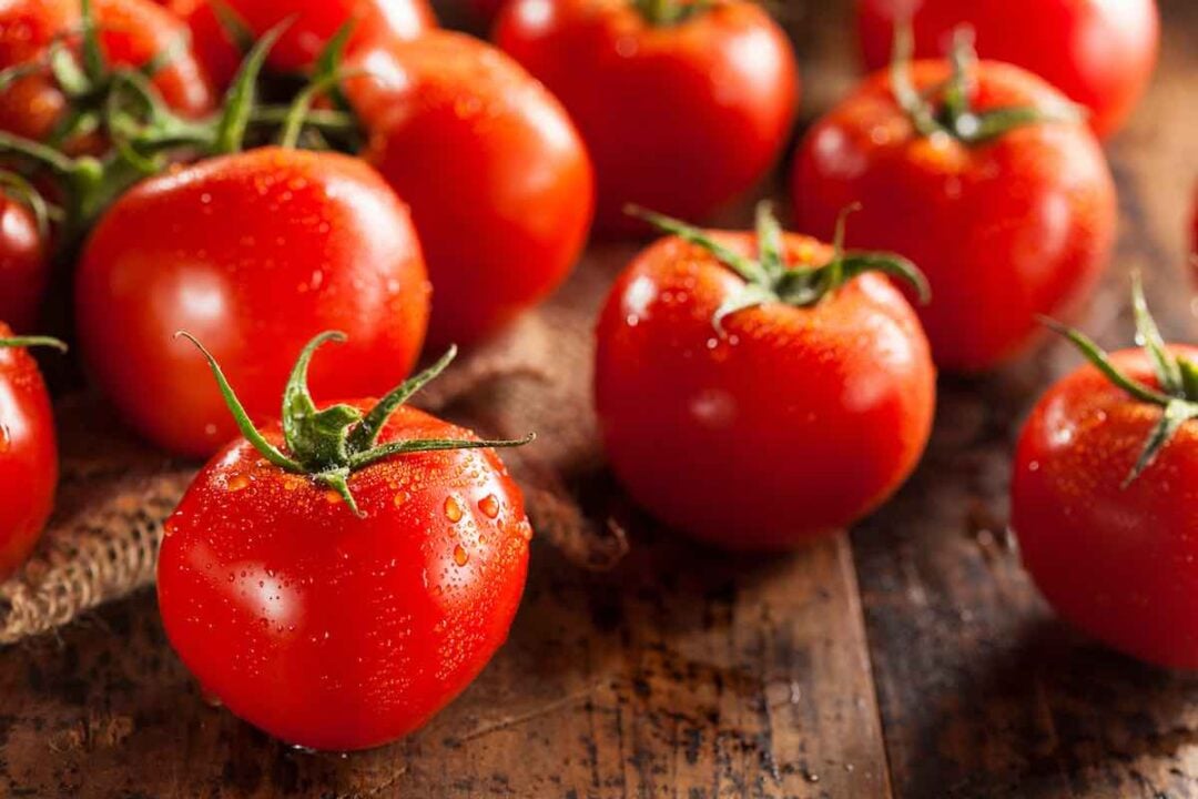 All About the Moskvich Tomato - Minneopa Orchards