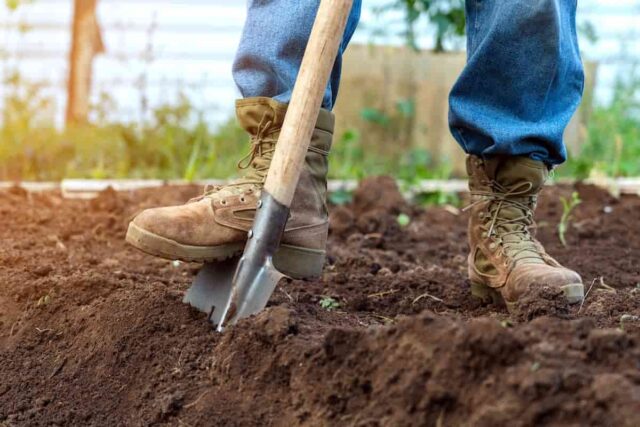 The Complete Guide to Garden Digging Tools - Minneopa Orchards