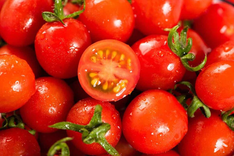 The Complete Tomato Nutrition Guide: 6 Benefits of Eating Tomatoes ...