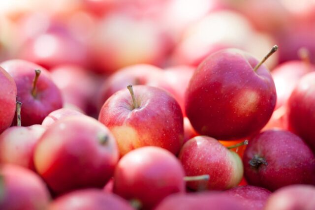 Apple Varieties: 94 Different Types of Apples - Minneopa Orchards