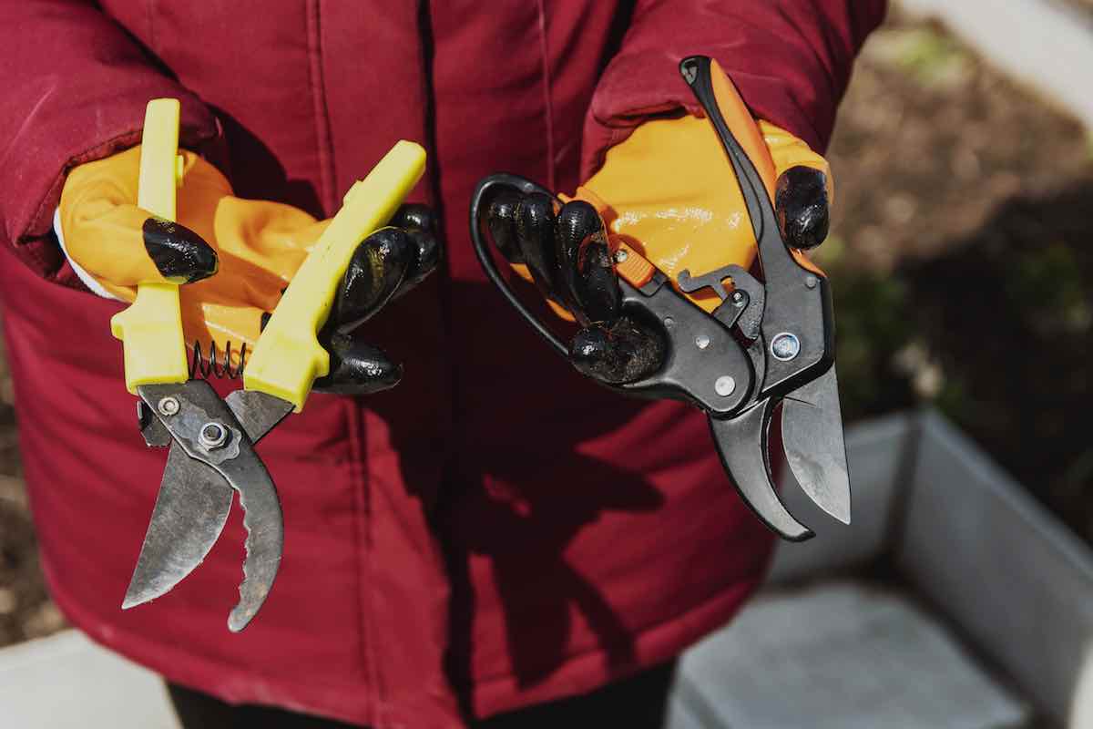 The 6 Best Hand Pruners for 2024 - Minneopa Orchards