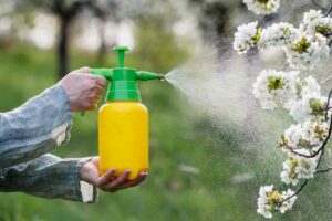 8 Choices for the Best Fungicide for Apple Trees - Minneopa Orchards