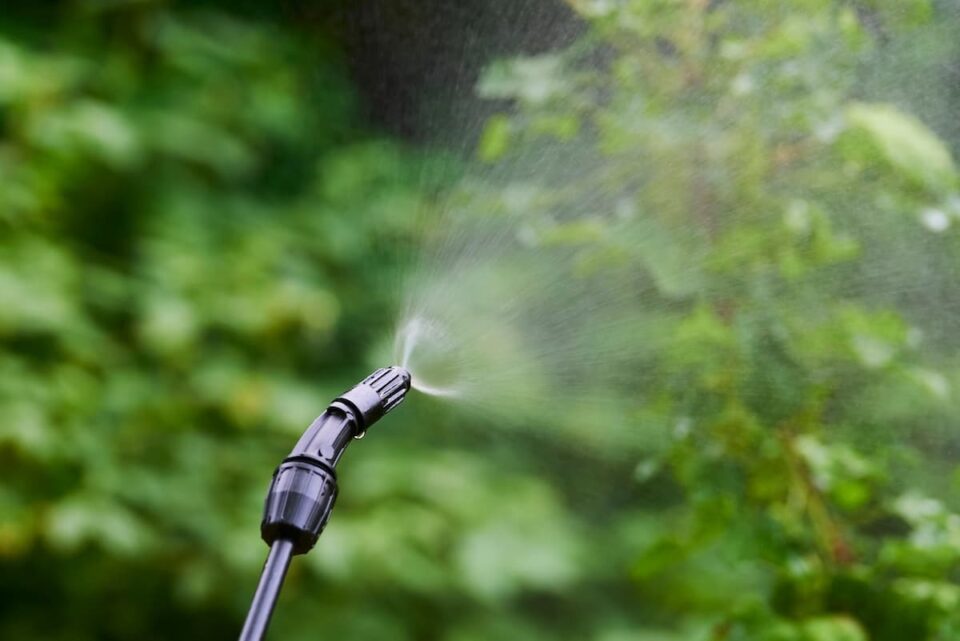 8 Choices for the Best Fungicide for Apple Trees - Minneopa Orchards