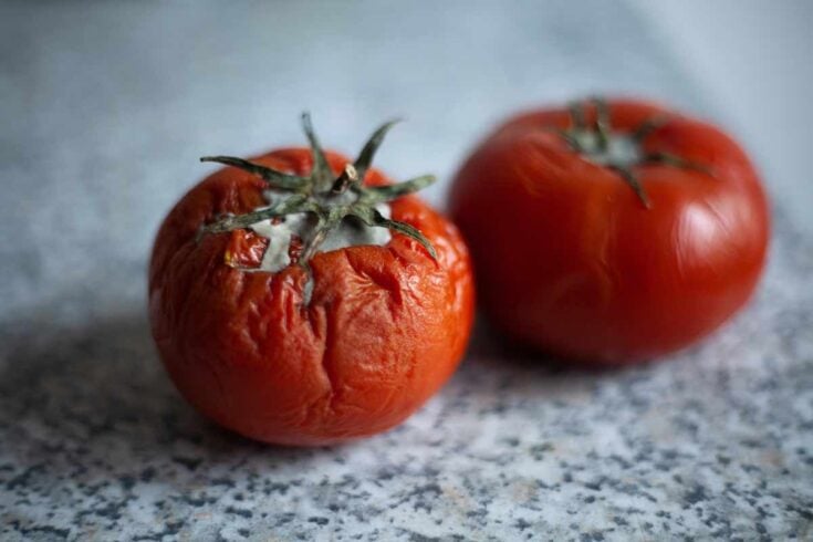 The Best Way to Store Tomatoes: 3 Methods to Keep Your Fruit Fresh ...