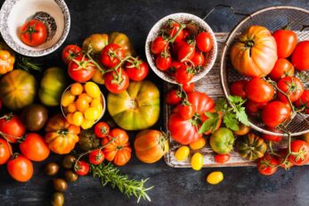 Tomato Varieties: Your Complete Guide to 76 Incredible Varieties of ...