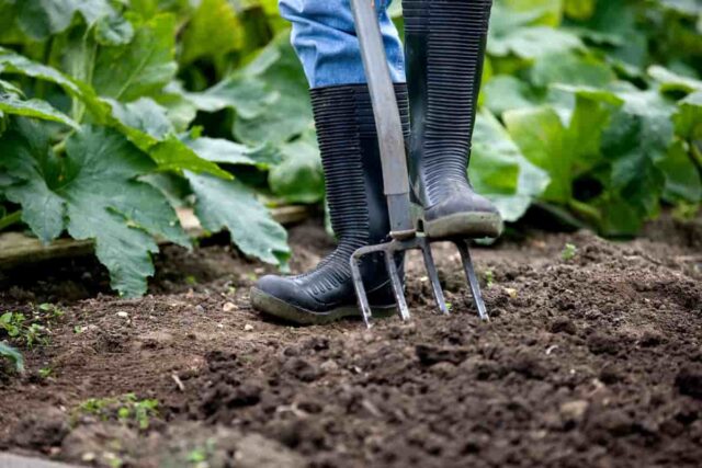 The Complete Guide to Garden Digging Tools - Minneopa Orchards