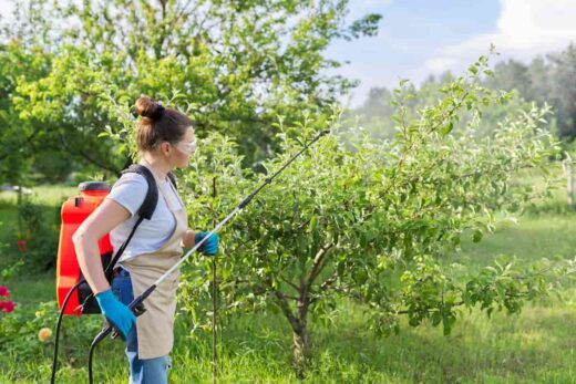 8 Choices for the Best Fungicide for Apple Trees - Minneopa Orchards