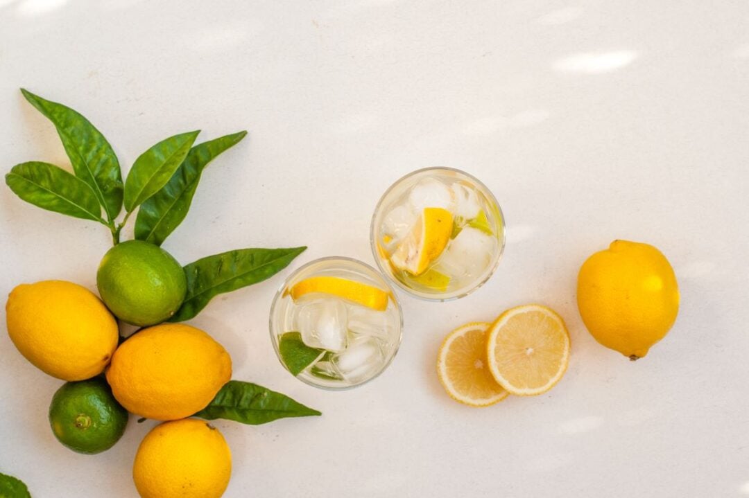 The Lemon Lime Tree - Minneopa Orchards