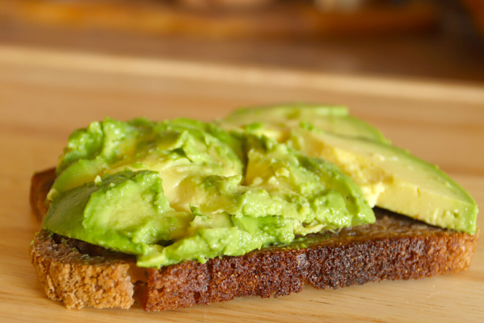 All About the Great Wurtz Avocado Tree - Minneopa Orchards