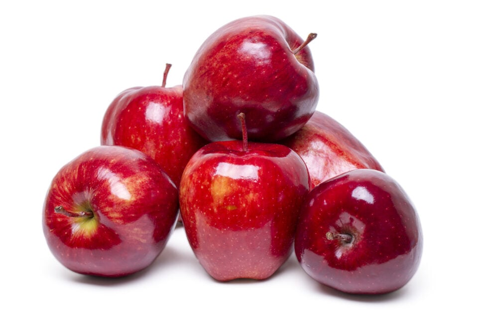 All About Red Delicious Apples - Minneopa Orchards