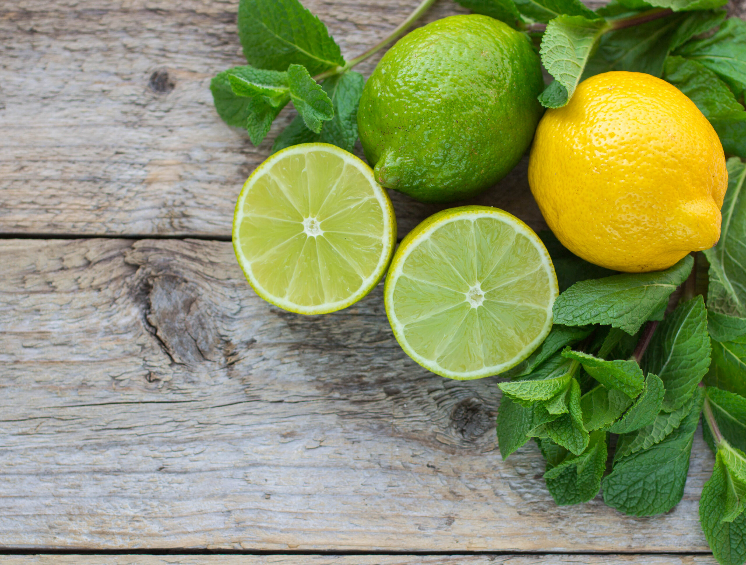 The Lemon Lime Tree - Minneopa Orchards