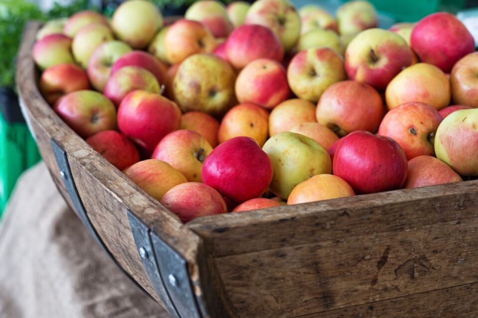 9 of the Best Apple Orchards in Washington - Minneopa Orchards