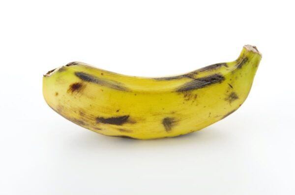 The Apple Banana Tree - Minneopa Orchards